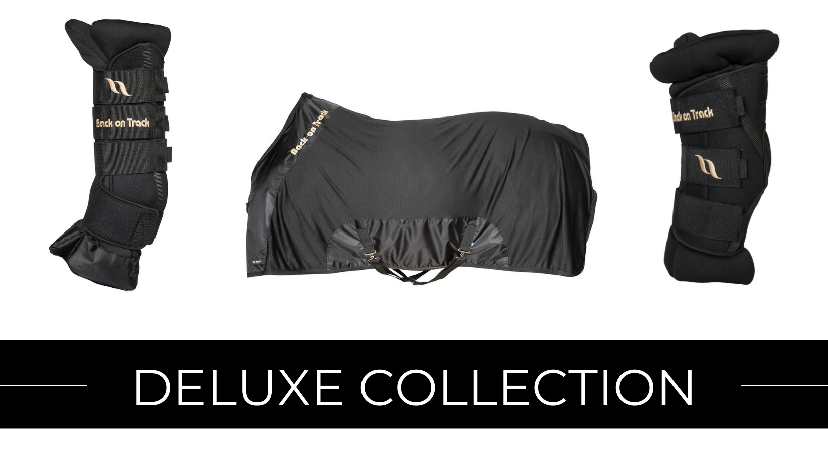 Back On Track Reinvented: Unveiling The Upgraded Best Sellers – Leanin ...