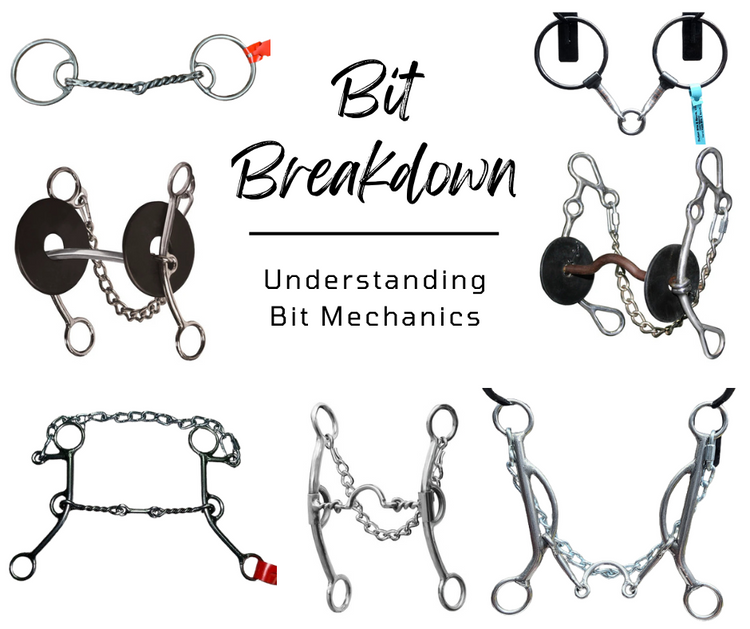 Bit Breakdown: Understanding Bit Mechanics – Leanin' Pole Arena