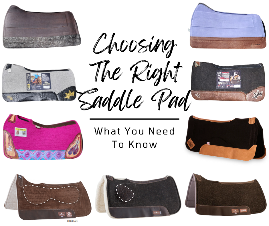 Choosing The Right Saddle Pad: What You Need To Know – Leanin' Pole Arena