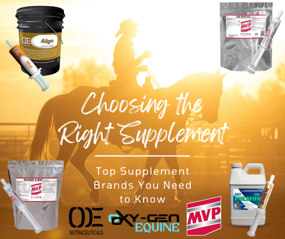 Choosing the Right Supplement: Top Supplement Brands You Need to Know ...