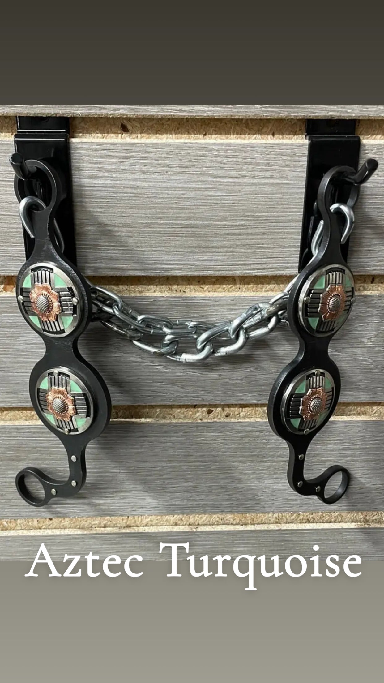 Petska Solid Chain Bit - 8" Shank – Leanin' Pole Arena