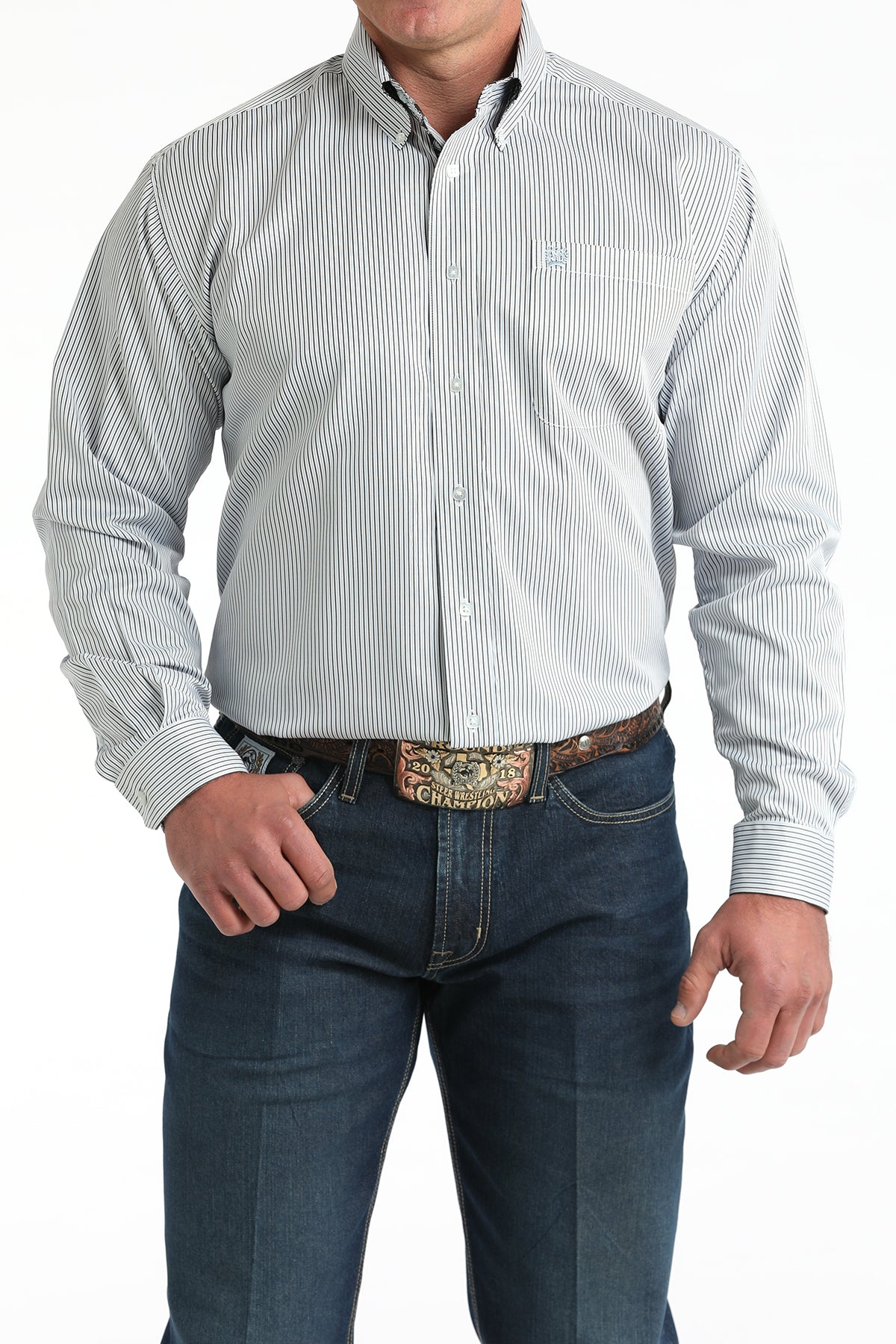 Cinch Men's Big & Tall Tencel Light Blue & Brown Stripe Western Shirt ...