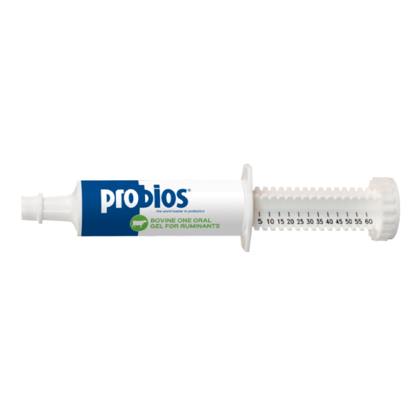 Probios Bovine One Oral Gel Probiotic 60g Syringe – Leanin' Pole Arena