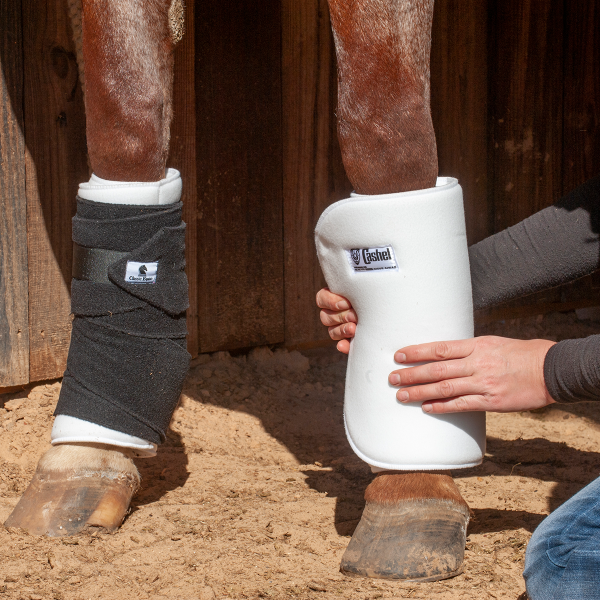 Cashel No Bow Bandage Wrap – Leanin' Pole Arena